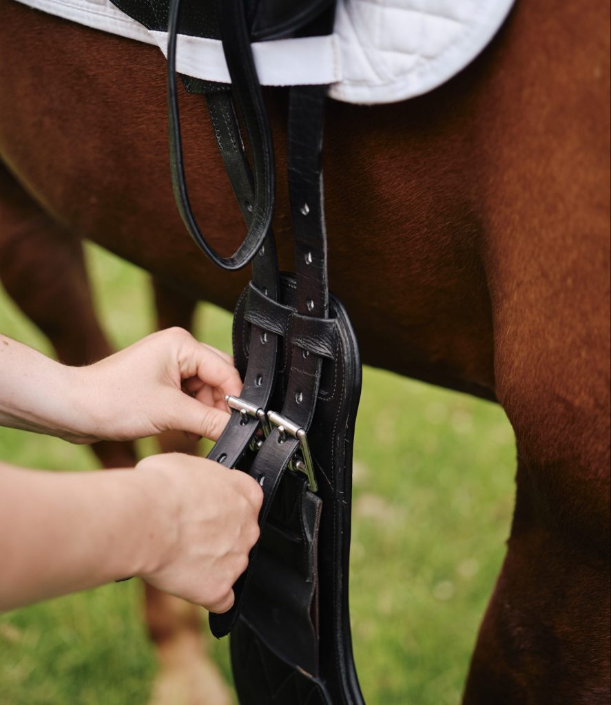 About Us - Cornbury House Horse Trials